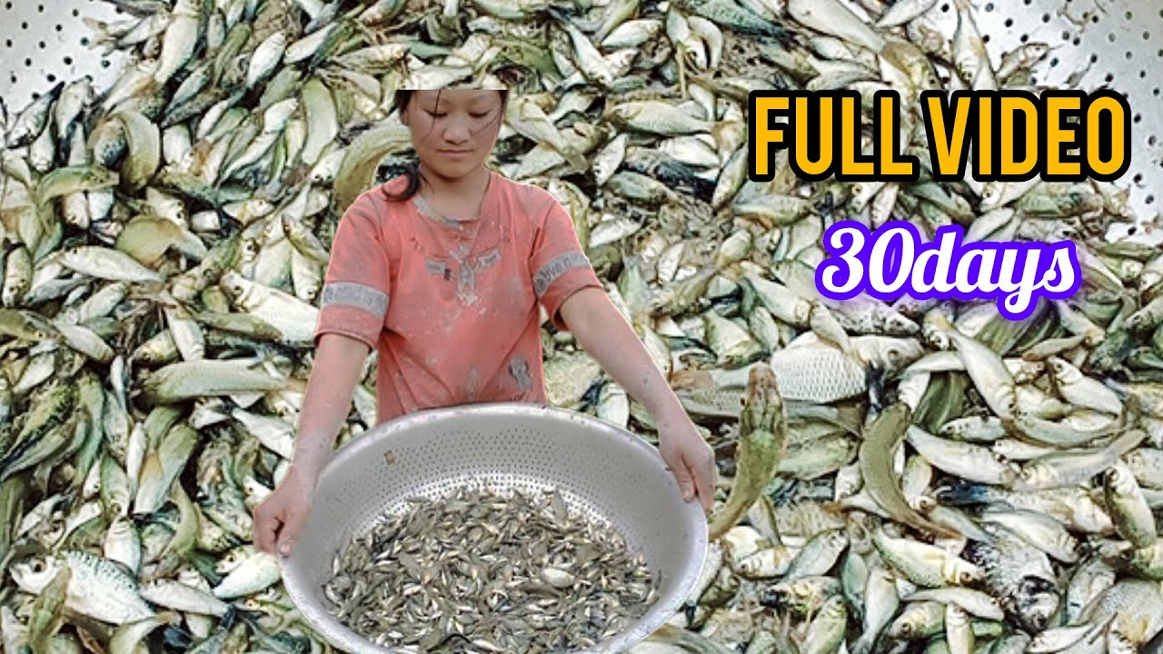 30 Days of Carp Fishing: Catching Tons of Fingerlings – Full Video ...