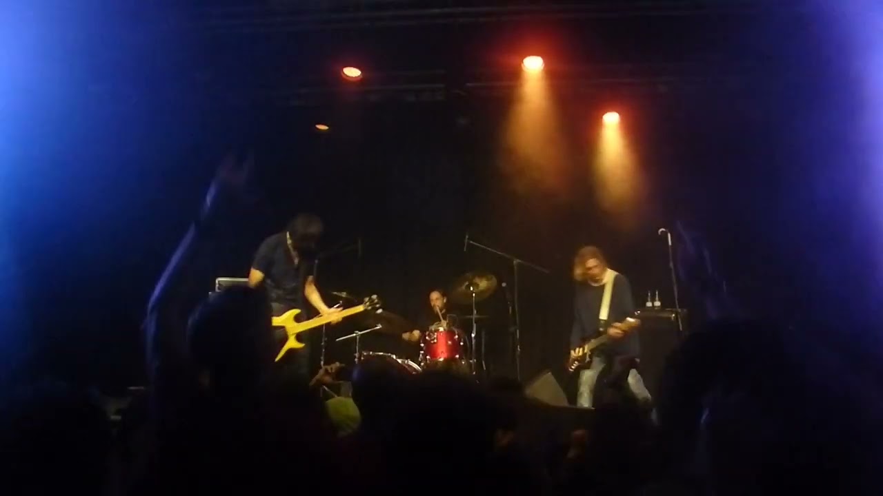 20 Buzz Lovers- Love Buzz (Shocking Blue Cover) - YouTube