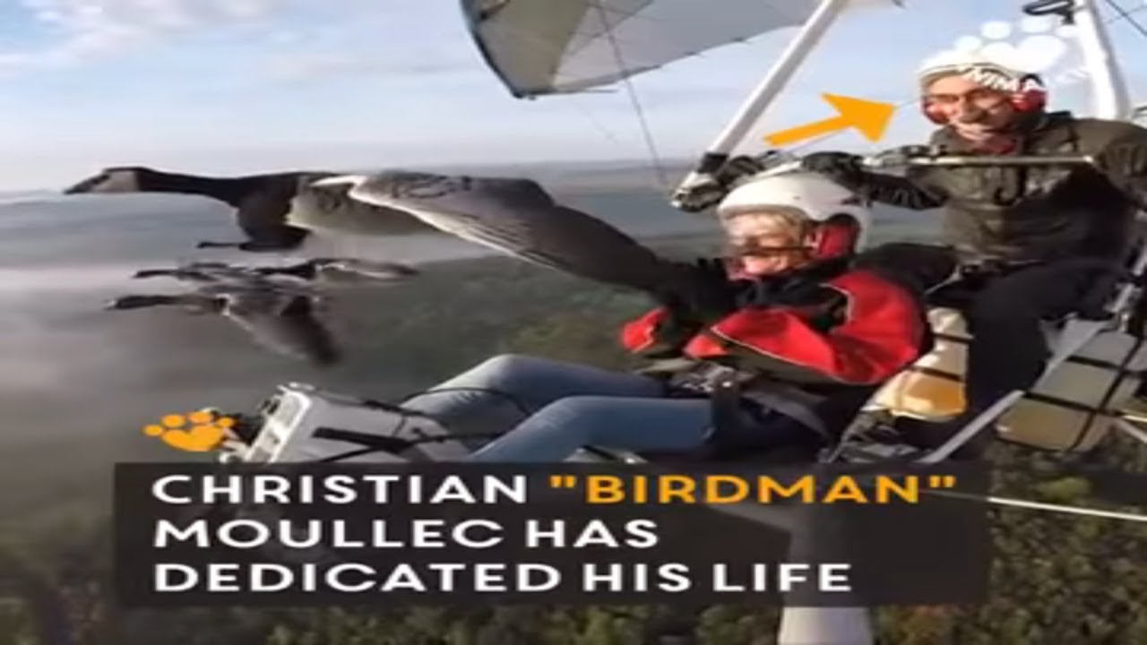Human Flying with birds amazing video !!!Animal kind!!! - YouTube