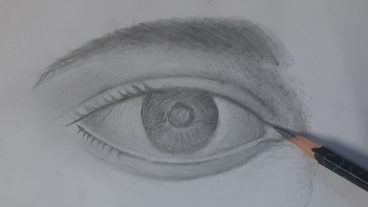 How to Draw an eye/eyes easy step by step for beginners Eye Drawing ...