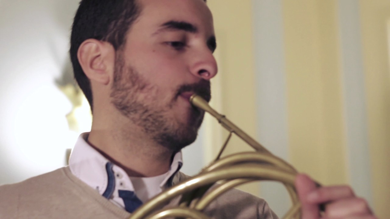 Ferdinand Ries - Introduction and Rondo for Horn and Piano op.113 No.2 ...