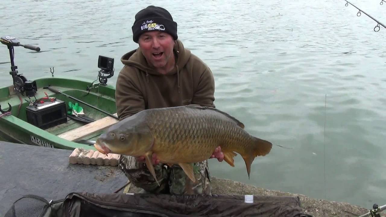 Session printanière carpes et silures sur le Tarn - YouTube