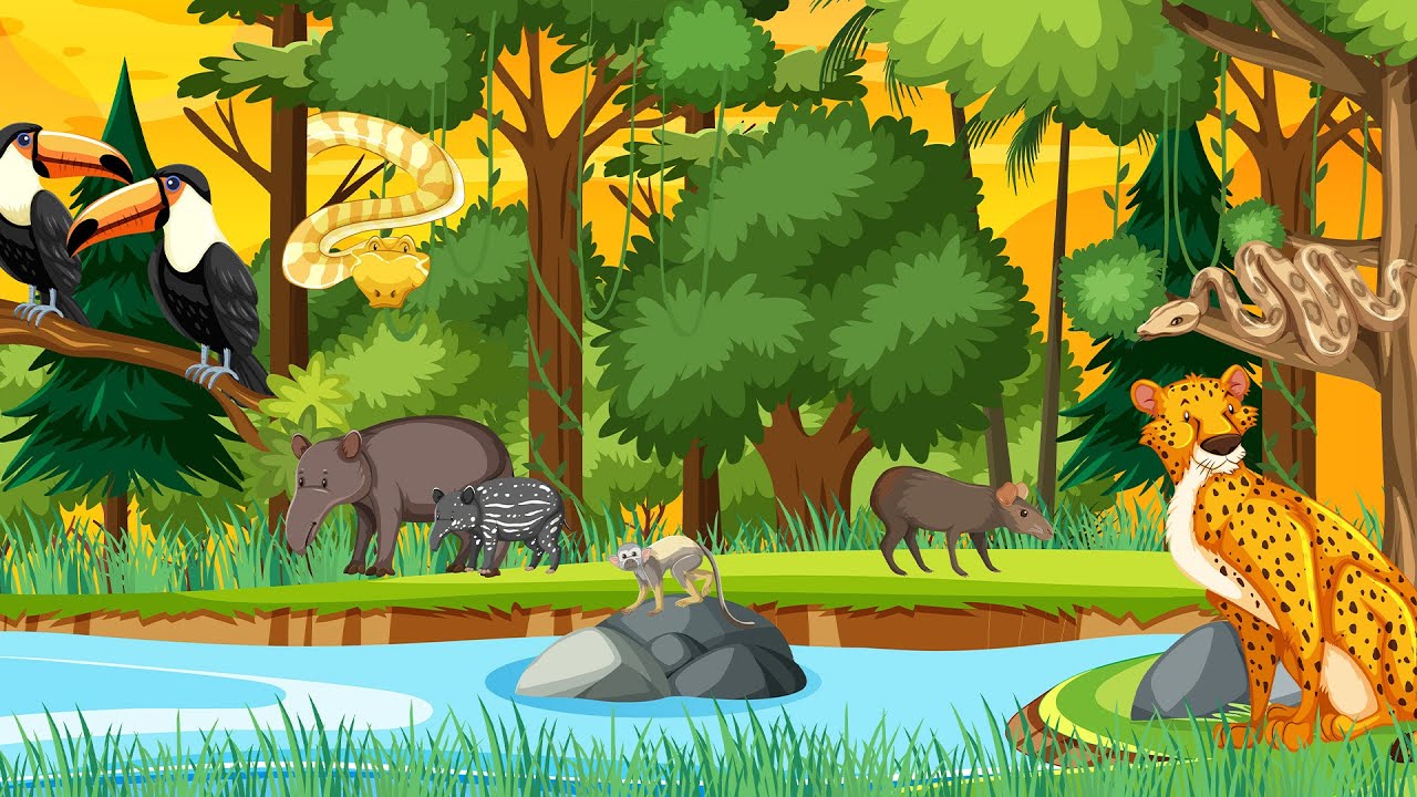 Cute Animal Sounds around us: Cow, Leopard, Ostrich, Donkey, Yellow ...