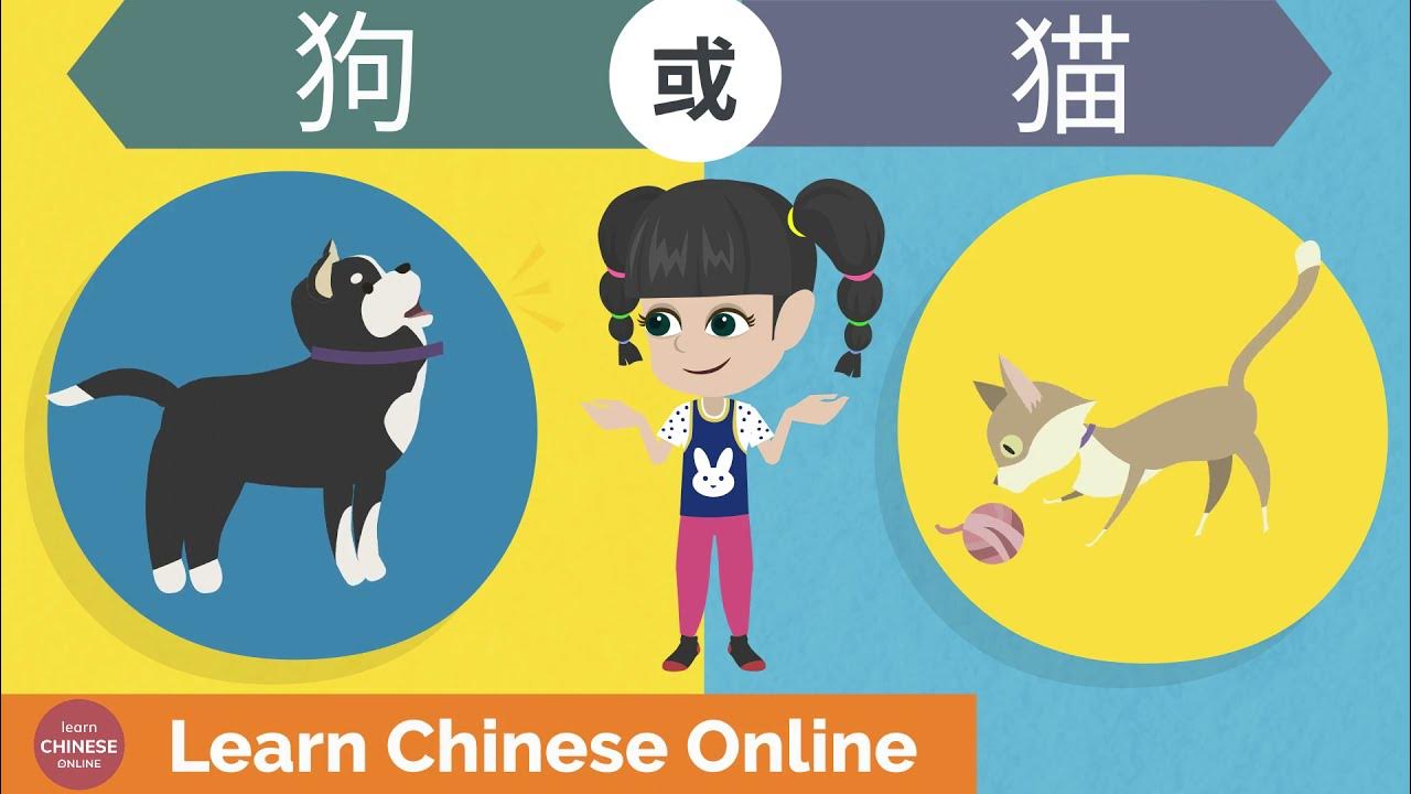 Chinese Conversation: Learn Animals in Chinese| Measure words for ...