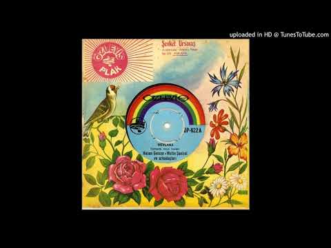 Hasan Gencer ve Metin Şanlıel - Mevlana - Bahriye - Özleyiş ÖP 622_1