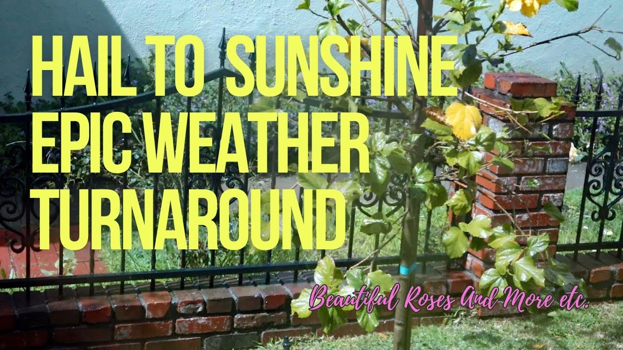 Hail To Sunshine, Epic Weather Turnaround - YouTube
