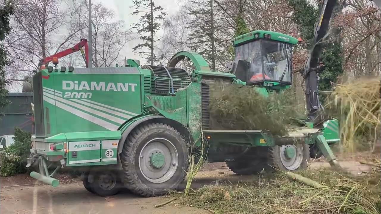 Albach Diamant 2000 Wood Chipper Eating Trees - YouTube