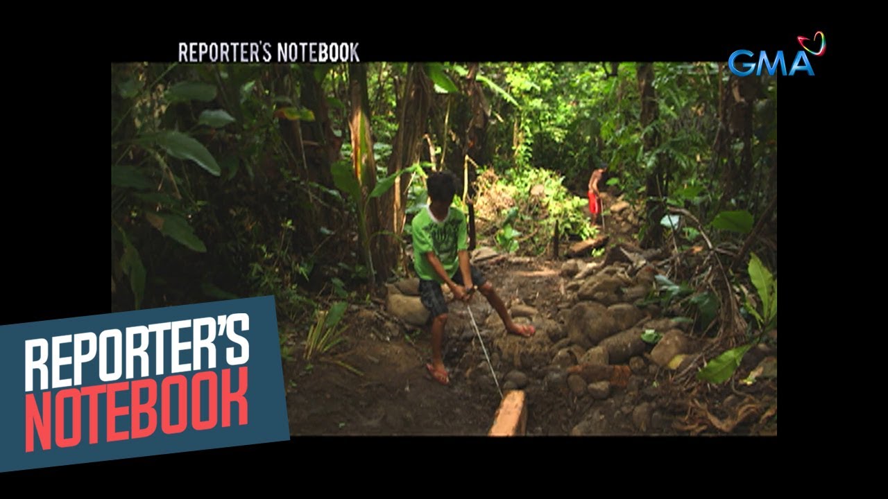 Ilang kabataan sa Leyte, pagtotroso ang naging hanapbuhay | Reporter's ...