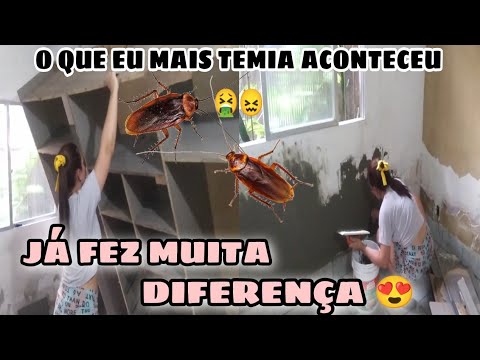 Argamassa na parede | Parede com umidade | Guarda roupa caindo | Lili ...