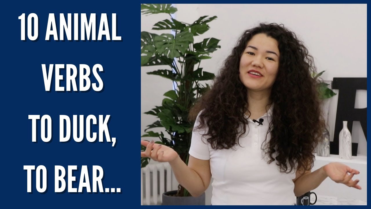 Increase Your Vocabulary With These 10 Animal Names That Can Be Used As ...