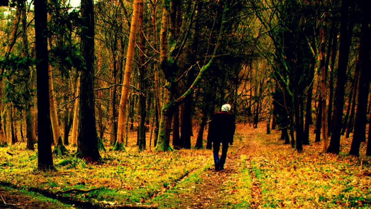 "The Road Not Taken" by Robert Frost (read by Winston Tharp) - YouTube