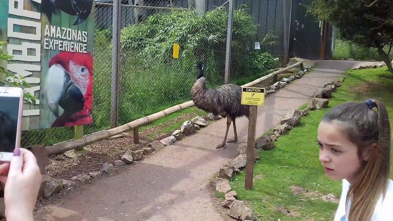 SOUTH LAKES ZOO, CUMBRIA, BARROW IN FURNESS. - YouTube