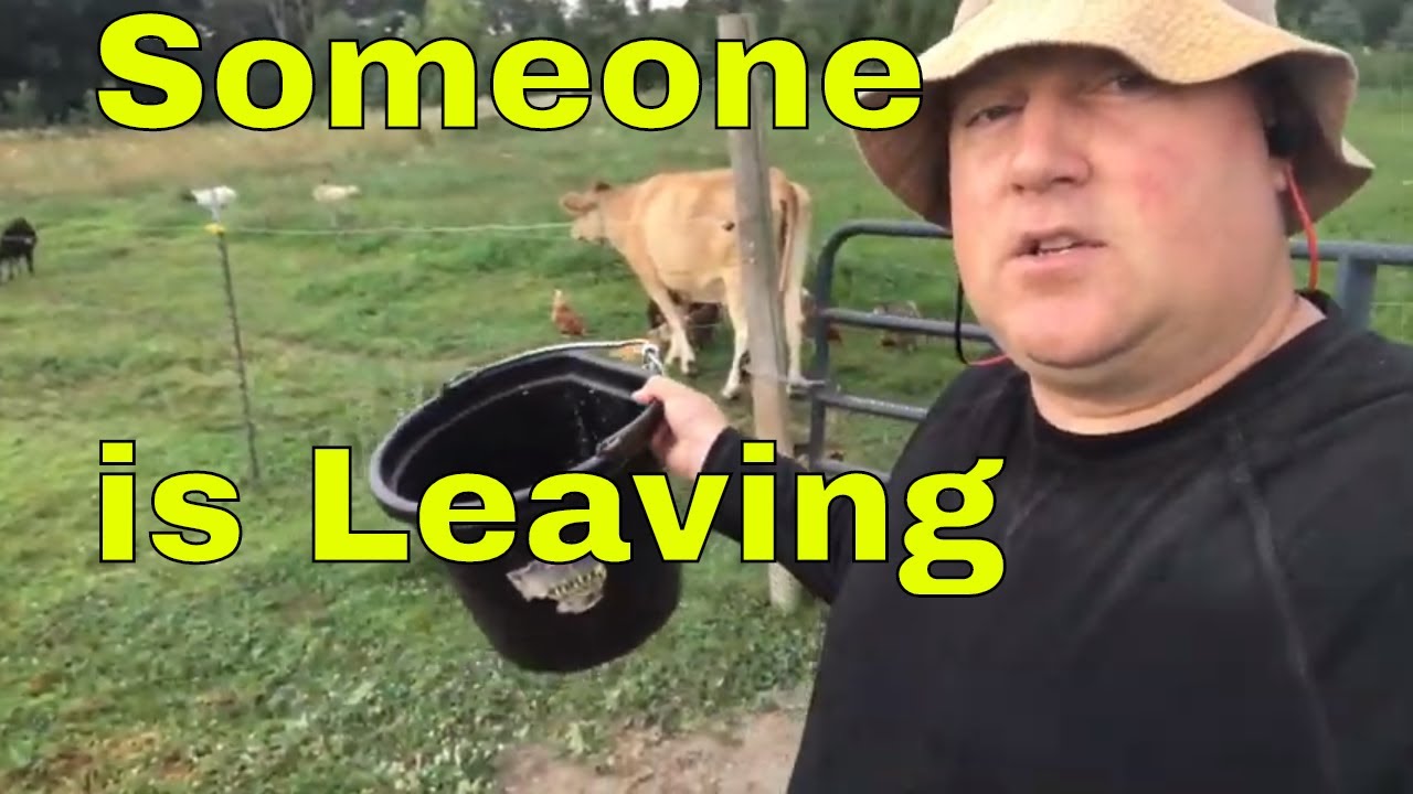 A Huge Part of Our Homestead Is Leaving, Saying Goodbye For Now to One ...