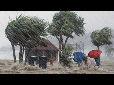 Indonesia on the Brink! Terrifying Super Typhoon Smashes and Destroys Rural Life