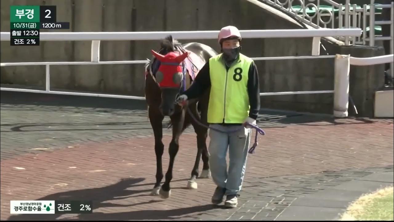 매직쇼 b2y 20251031 08 - YouTube