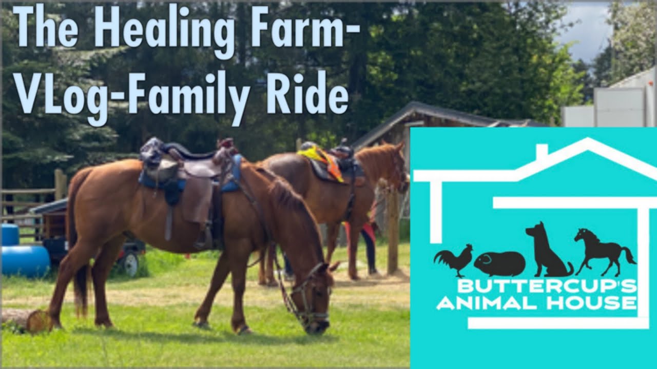 The Healing Farm VLog-Family Ride on Buttercup’s Animal House ...