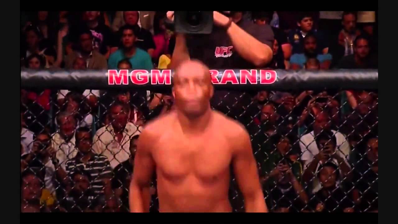 Anderson Silva Highlights 2013 - YouTube