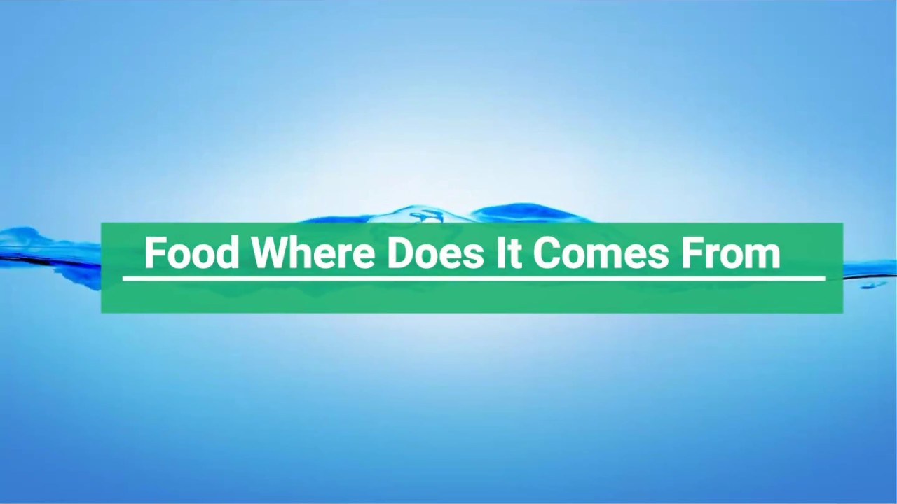 Food where does it comes from: Plant Parts and Animal Products as Food ...