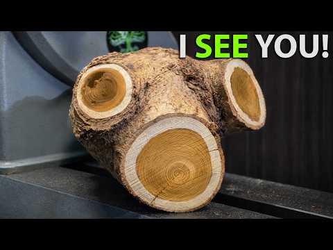 Is there GOLD in these EYES?! Or did I just make the BIGGEST mistake ever!! #Woodturning #Laburnum