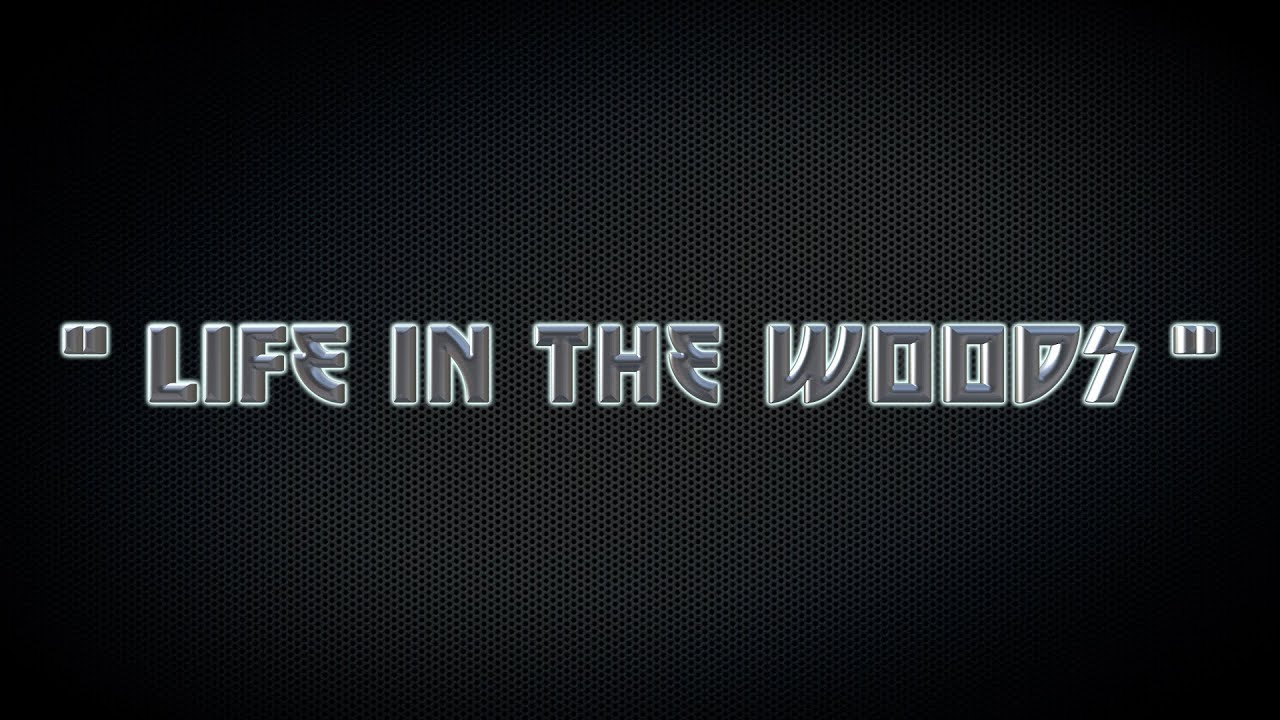 KISS - Life In The Woods - Live at the Daisy - Amityville NY - June 16 ...