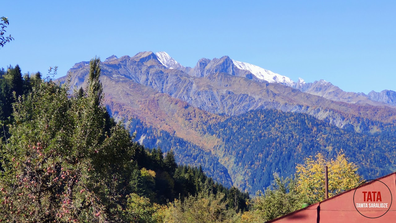 Amit Ofir & Samuel Shrieve & Rinat Arinos Bones - YouTube