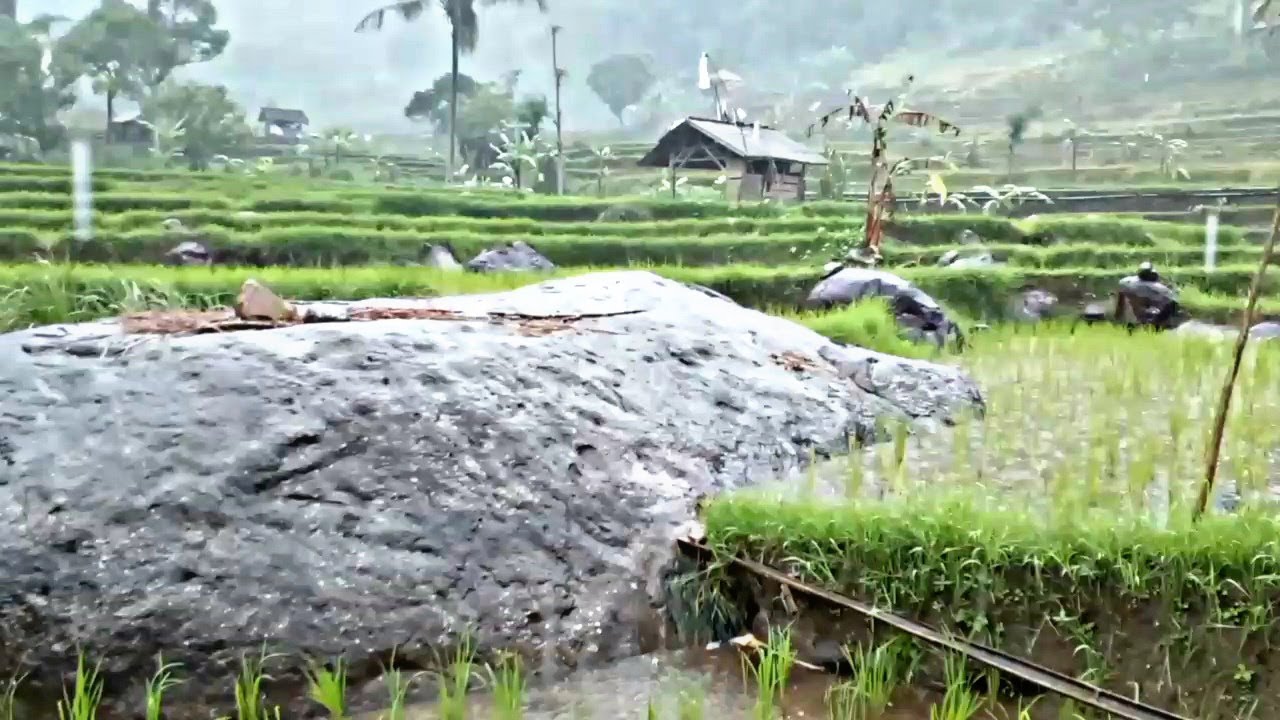 Wow ‼️ Keindahan Alam Desa Wisata Curug Cibareubeuy Cibeusi Subang ...