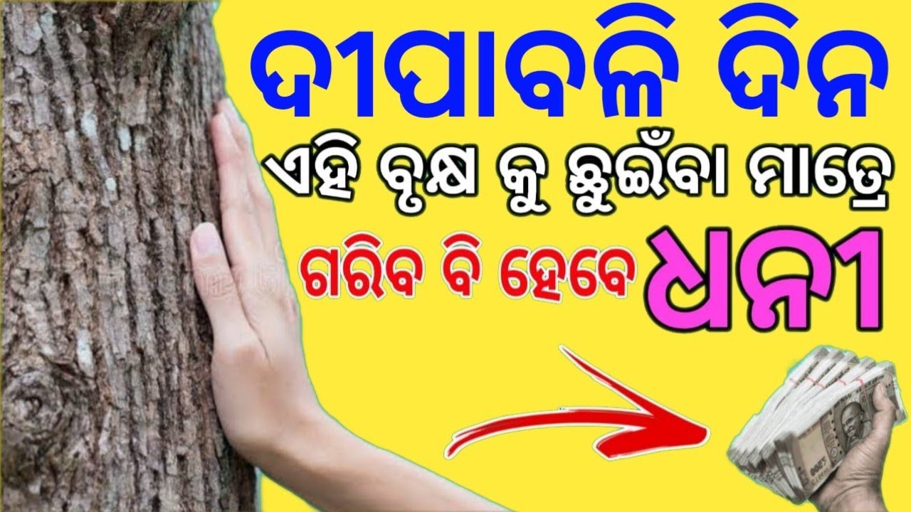 Diwali 2023 Odisha Dipabali 2023 date odia | Dipawali 2023 | ଦୀପାବଳୀ ର ...