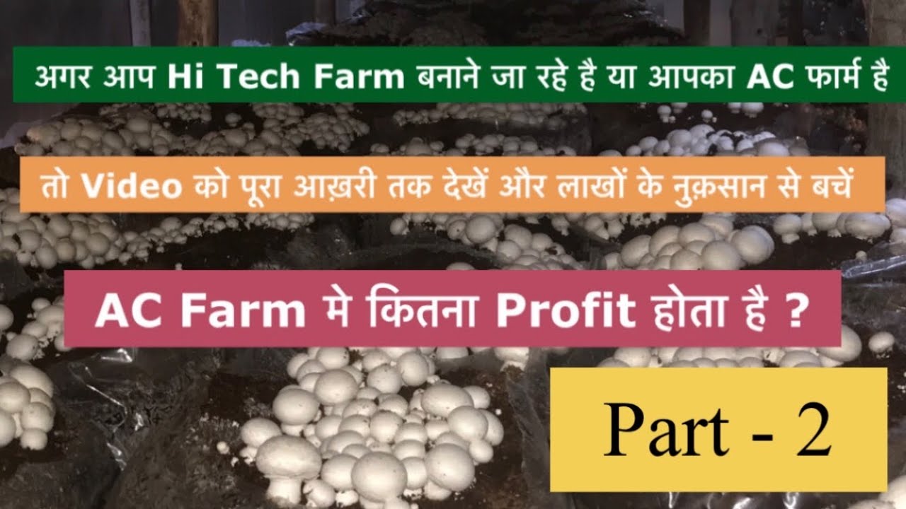 Profit & Loss || Hi Tech Mushroom Farm || Mushroom || mushrooms ...