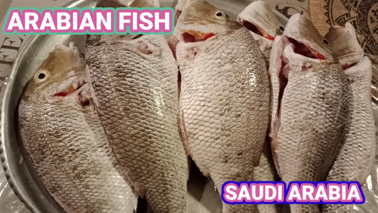 PAANO MAGTANGGAL SA HASANG NG ISDA || EASY WAY OF FISH CLEANING) - YouTube