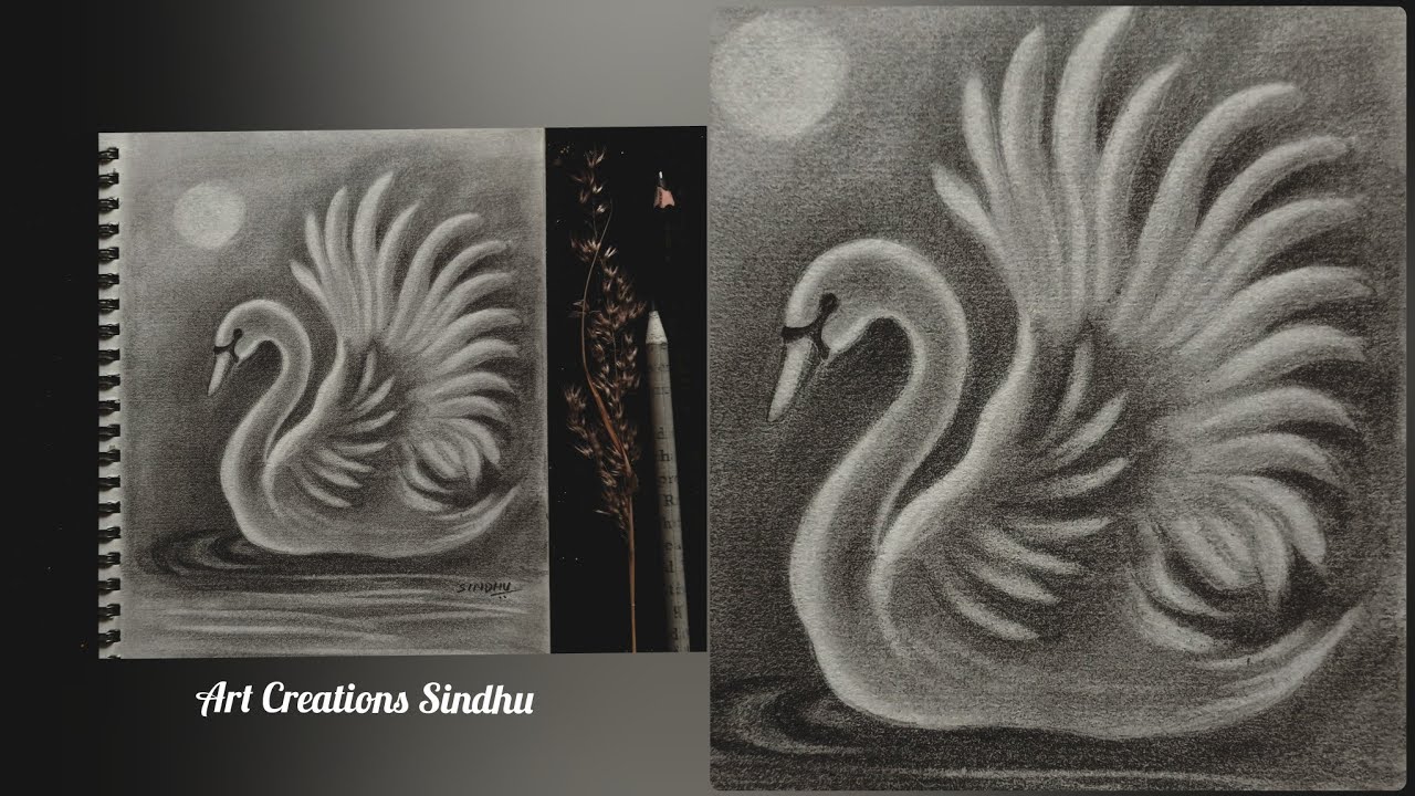 How to draw And Shading in Swan/Swan Pencil sketching/Pencil Shading ...