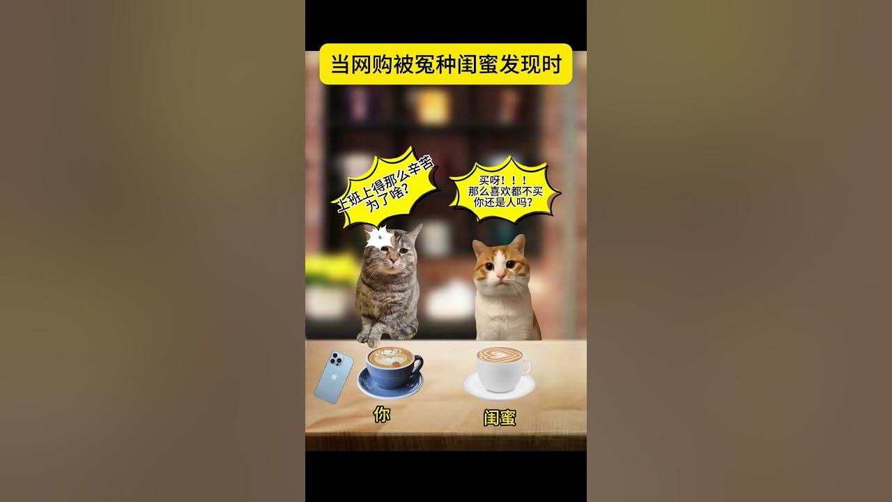 當網購被冤種閨蜜發現時 #幽默 #funny #搞笑 #貓meme #memes #萌宠 #段子 #故事 #繪畫 #繪畫 #cat - YouTube