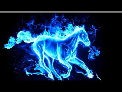 hologram horse video