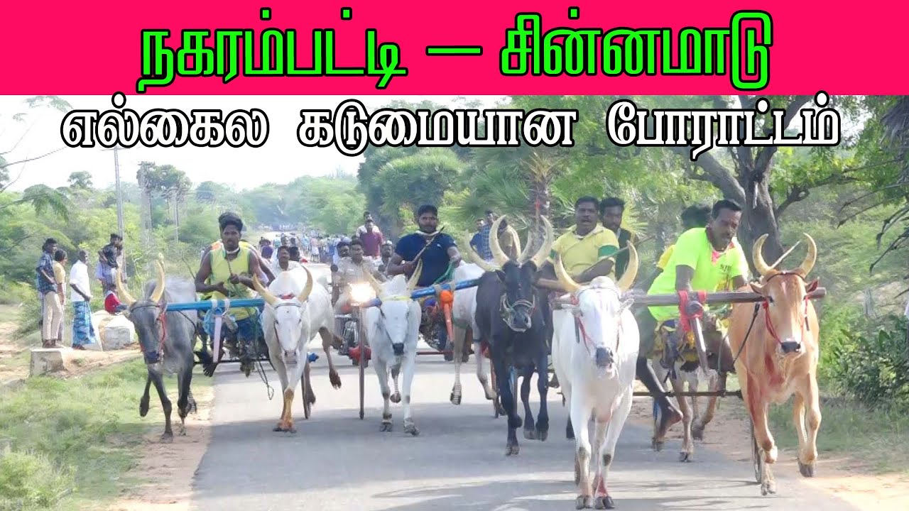 ETSS - Nagarampatti | Cinna maadu | 10-05-2023 | Rackla Race - YouTube
