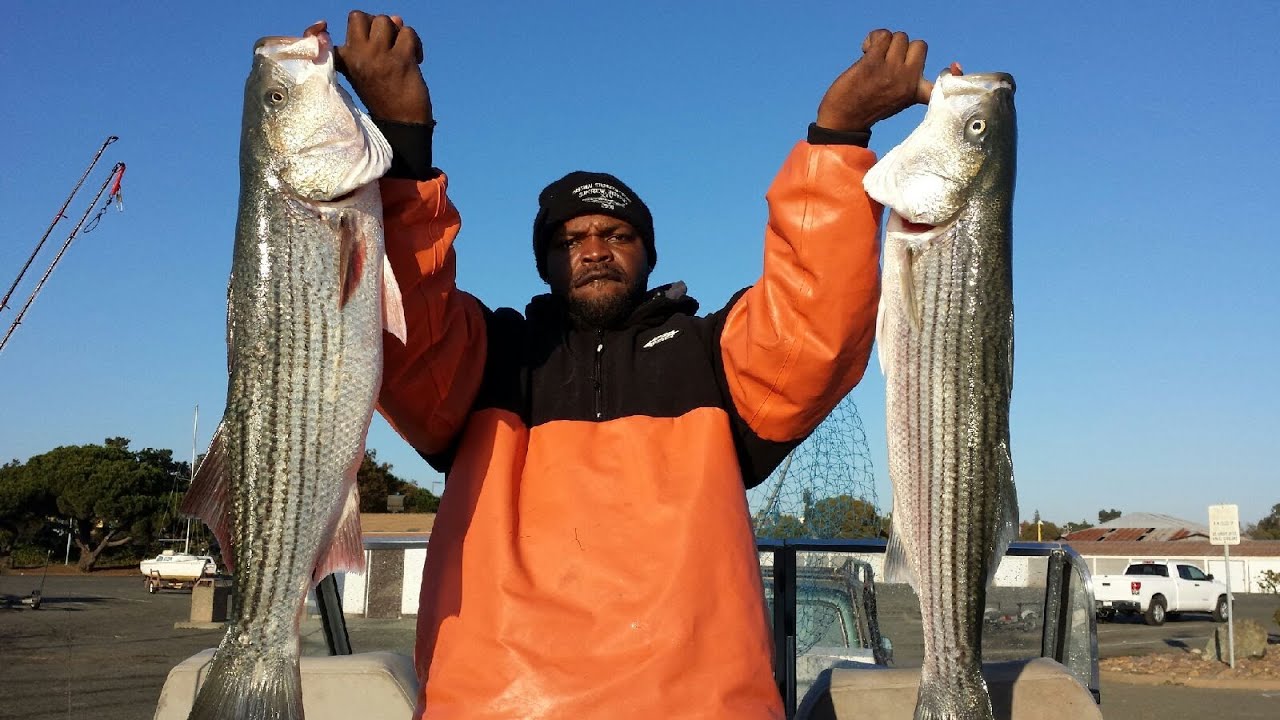 Northern California Big Striper Fishing - YouTube