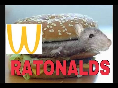 Carne de RATA en hamburguesa de McDonalds. rat meat burger RATONALD`S ...