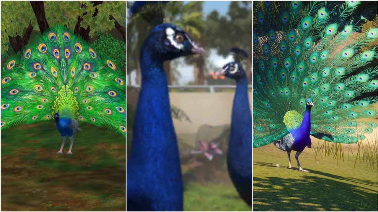 Indian Peafowl: Comparison In 4 Games 🦚 - YouTube