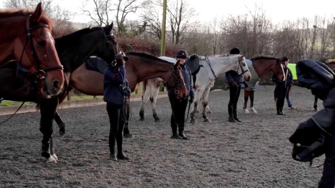 Study Equine at Duchy College - YouTube