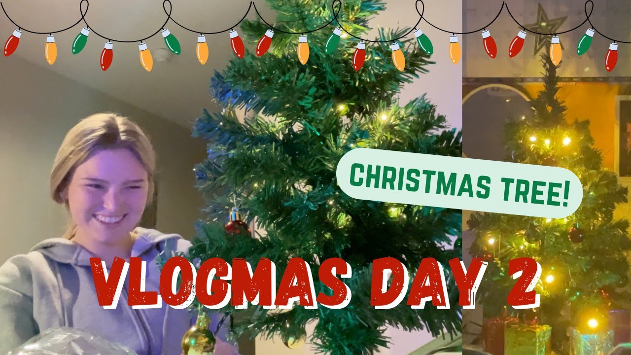 Vlogmas Day 2 Putting Up My Christmas Tree Robyn Emily Youtube