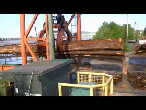 Log Sort Yard - YouTube