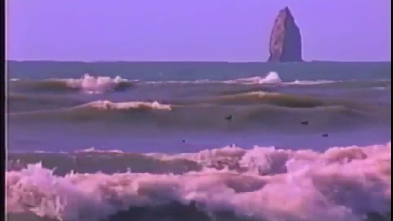 80s NATURE DOCUMENTARY - YouTube