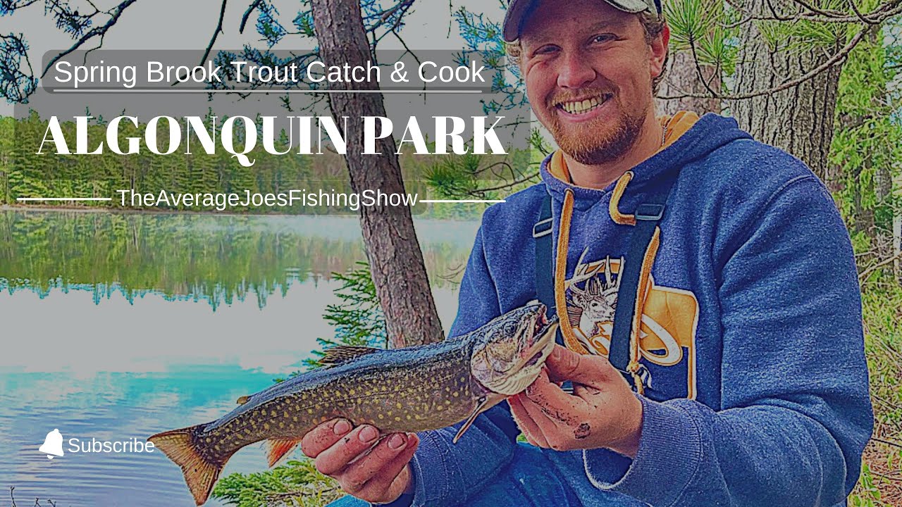Algonquin Park Fishing Spring Brook Trout - Catch and Cook over a Fire ...