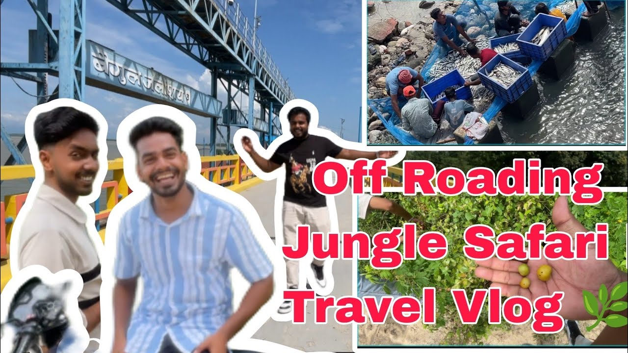 Off Roading Jungle Safari 🦌 | Village Life & Incredible India Travel ...