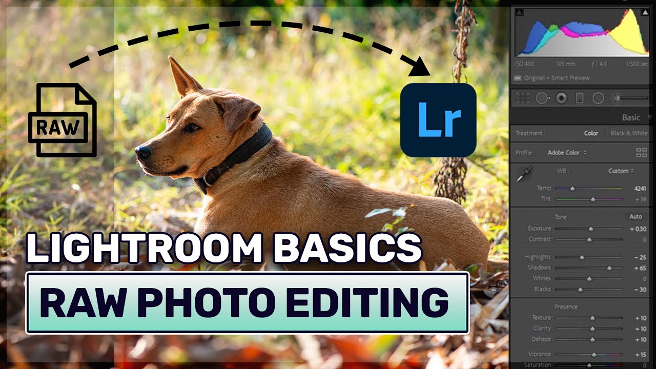 How To Edit Raw Files In Lightroom YouTube how-to-edit-raw-files-in-lightroom-youtube
