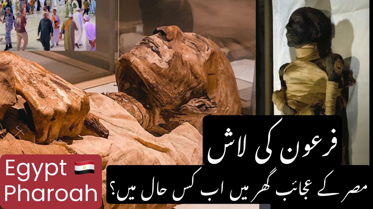 Egypt’s pharoah dead body|in which condition now? - YouTube