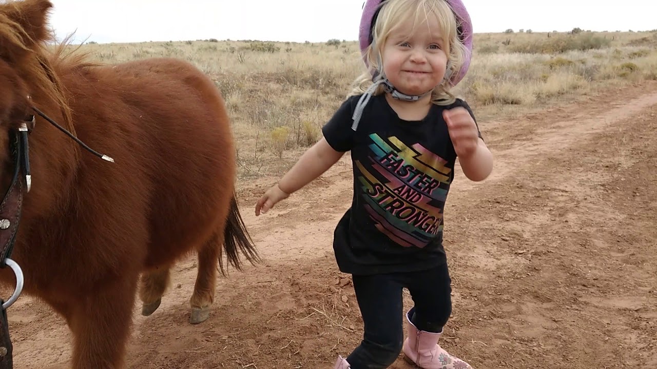 Anna's Pony - YouTube