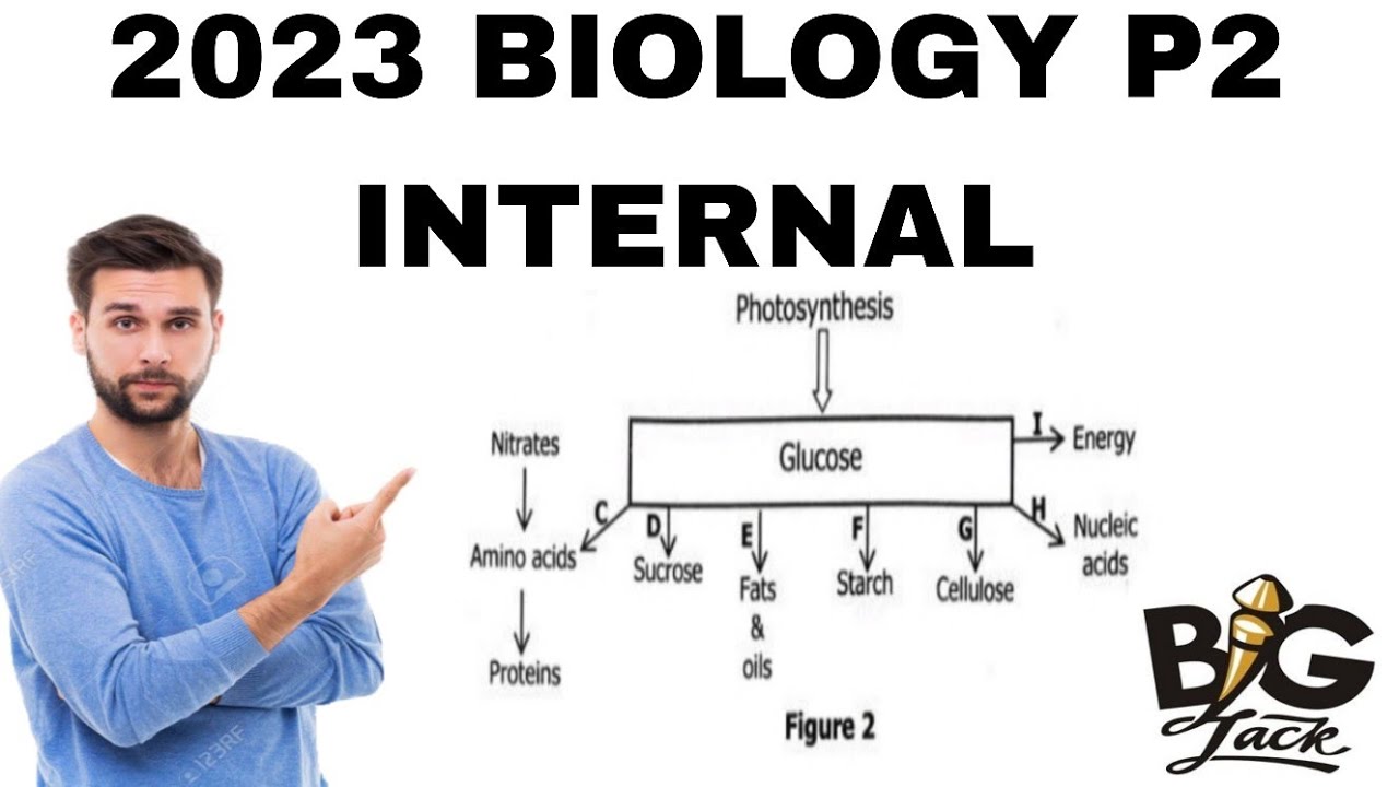2023 inter-Biology paper 2 - YouTube