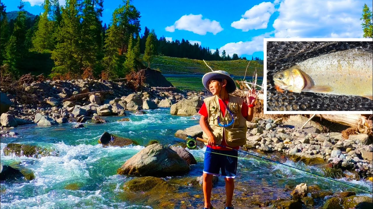 Fly Fishing the Soda Butte Creek and Trout Lake at Yellowstone National ...