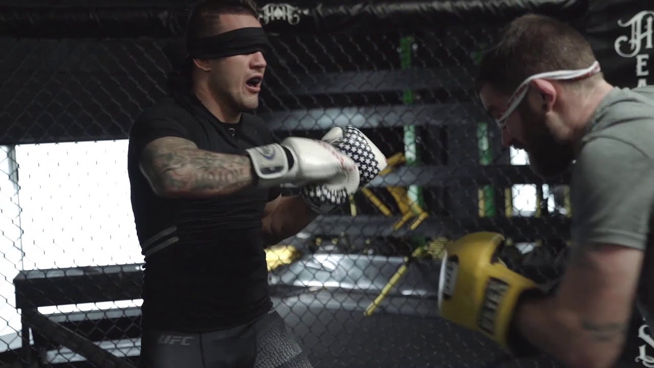 TBT - Birdbox Challenge - YouTube