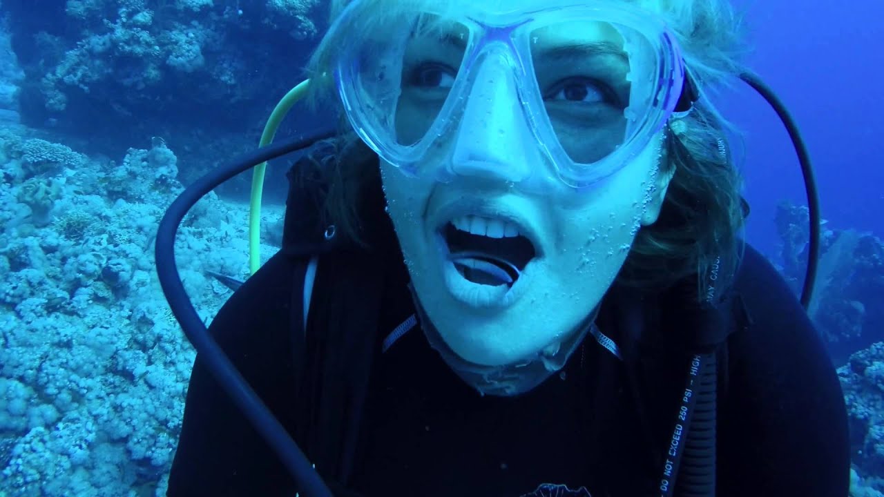 Diving with Camel Dive in Sharm 2015 - Day 4 - YouTube