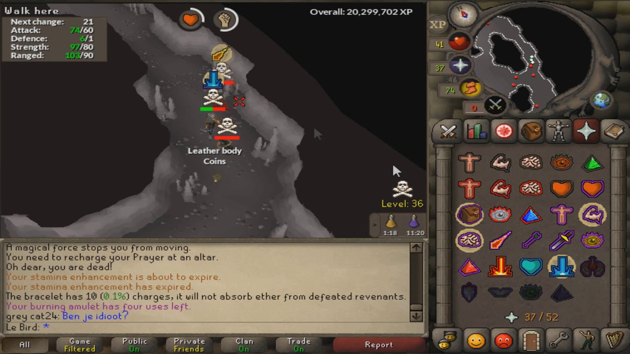 OSRS pure - Le Bird destroying revs - YouTube